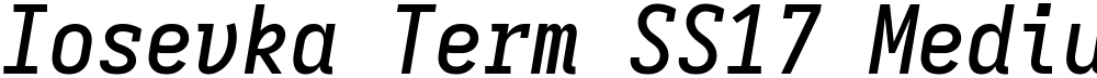 Iosevka Term SS17 Medium - 字酷网